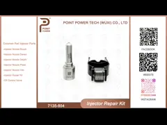 China 7135-854 Nozzle-Valve Kit with E540 Nozzle and 28602945 Valve for PSA DW12RU Engine - 60g Net Weight for sale