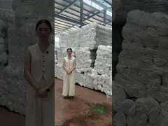 China Long-Lasting Galvanized Chain Link Fencing with PVC Coating for Outdoor Use Chain Link Fence for sale