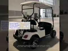 Customizable 2-Seater Latest Model Electric Golf Cart