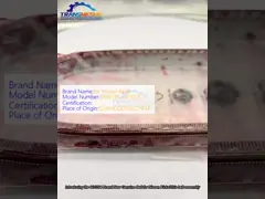 China 901067 Brand-new Genuine CVT Transmission Steel Belt QR019CHA-1502529 CVT Belt for sale