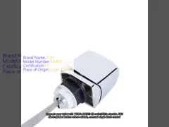 Toilet accessory lift switch - Old toilet button top lift ABS electroplated switch