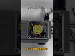 Intelligenter elektrischer Aktor mit Flanschanschluss AC220V IP67 Cnas Passed Electric Actuator