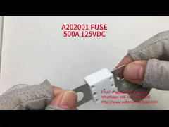 10.3 * 65.5mm Cerámica EV Fuse 20A Cargador de batería automotriz para fusible rápido de CC