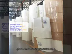 Eco-Friendly PLA Coated Paper Roll for Food Packaging Solutions