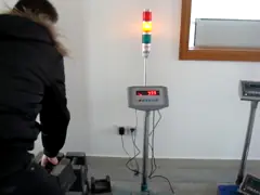Customized Support and Relay Output XK315A1T Electronic Platform Scale with Weight Display