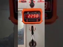 China Proof Load 125% of Capacity Electric Digital Remote Control Crane Scale for 1 Ton 2 Ton 3 Ton 5 Ton 10 Ton 30 Ton 50 Ton for sale