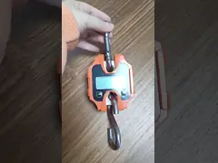 China 100kg 150kg 200kg 300kg Cast Aluminum Case Digital Hanging Crane Weighing Scale for Farm Hunting Fishing J R OCS Handheld for sale