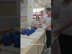 China Spirax Sarco Level Controllers LC1350 LC1800 LC2250 | Boiler Water Control Solutions for sale