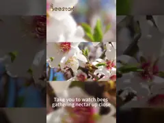 Pure Raw Honey of 100% Pure Natural Bee Honey, Delicious honey is hard-won