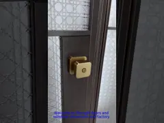 Double-layer Lingxing grid glass door
