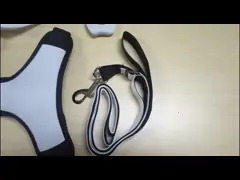 Personalized Sublimation Dog Leash Durable Pet Leash