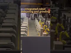 China CNC Automatic Metal Faucet Polishing Machine Steel Angle Polisher for sale