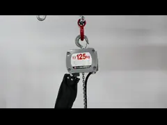 Wholesale Li Battery Operated Electric Mini 500kg Chain Hoist With Remote Control