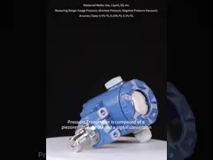 2088 Explosion Proof Smart Water Pressure Sensor Transmitter With Wide Temperature Range