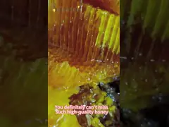 China High quality beekeeping Tools Mirror Polish Manual Uncapping knife with Wooden Handle for sale