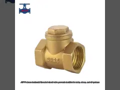 Brass Horizontal Threaded Check Valve ISO9001 ISO14001 Certified with 18 Months Warranty