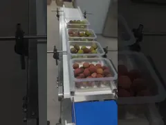 Sealerall Modified Atmosphere Packaging Machine Packing Fresh Litch