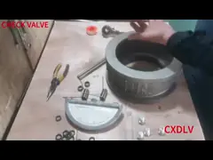 China Super Duplex  Dual Plate Wafer Check Valve Sea Water Duo Check Valve for sale