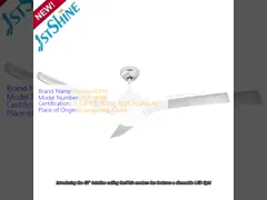 60±5W Silver Color 52