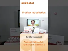 China Dental Zirconia Stain And Glaze for Ceramics Porcelain Block Coloring Audental Aesthetic Set Pink Set for sale