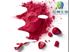 Strawberry powder