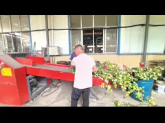 Fresh branch cutting and crushing machine