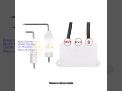 China High Power 220V Pulse Igniter for Forced Exhaust Water Heaters Thermostat Control for sale