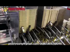 PRY-1650FH Fully Automatic Window Patching Machine with Double Channels