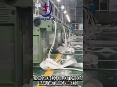 Zhongshen High-Performance Egg Collection Belt Manufacturing Process