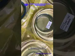 42049729 4204973 42049730 corredi d'acciaio della guarnizione di riparazione del cilindro della copertura della covata di Marine Oil Seals Ship Hydraulic