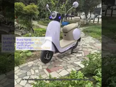 China Export electric motorcycles, adult commuter electric motorcycles, and two-wheeled electric motorcycles for cross-border transportation in foreign trade for sale