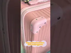 student luggage