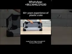 China Pp Foldable Corrugated Plastic Box Lightweight Custom Packaging Shipping for sale