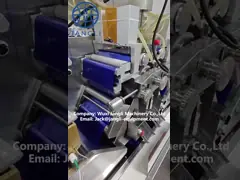 JL250III 소프트젤 캡슐화 기계