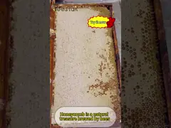 Natural comb honey is not only delicious but also rich in various nutrients
