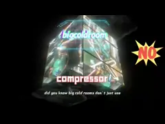 Why Big Freezers Use TWO Compressors? KUB