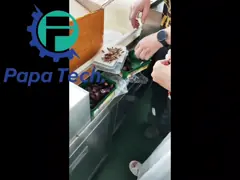 From Saudi Dates to Energy Bars: A Premium Production Line