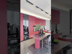 China Modern Rouge Red Stainless Steel Kitchen Cabinet With Solid SS Countertop for sale