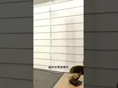 Cina Automatico a batteria azionato a motore blackout zebra persiane a rulli tende per Windows Zigbee APP in vendita