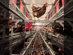 十分な移動プラットフォームを持つ多層ケージフリーシステム