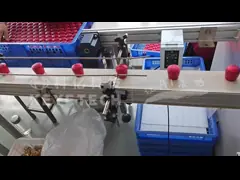 AI Vision Inspection Machine for Wine Bottle Caps with 99.9% Accuracy 0.1 mm Precision and 2500pcs/min Speed