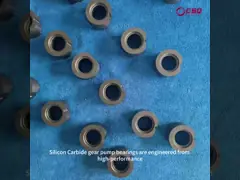 China SSIC Ceramic Sliding Bearing for Gear Pumps Low Friction for sale