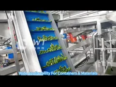 China LWT Automatic Vibration Filling Machine for Cucumber Fruit Canned Food in Glass Jar Tin Can for sale