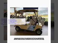 Hot Sale4 Seats Mini Electric Golf Cart