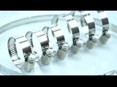 중국 스테인레스 스틸 SS 튜브 클램프 클림 콘스턴트 텐션 스프링 판매용