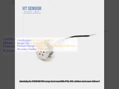 4-20mA Sewage Level Sensor IP68 316L Stainless Steel 0.5% Accuracy