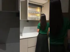 Smart Lift Lifting Stainless Basket