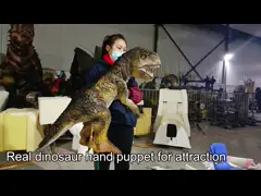 China Hand Control Electric Animatronic Baby Dinosaur Arm Puppet With Dinosaur Roaring for sale