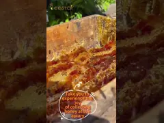 Natural Bee Honey Pure Raw Honey for Direct Eat,Delicious honey