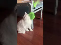 Durable Subscription Box Agility Training Bluetooth Pet Anxiety Relief